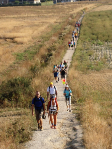 Walk, Eat, Repeat – Canadian Cookbooks