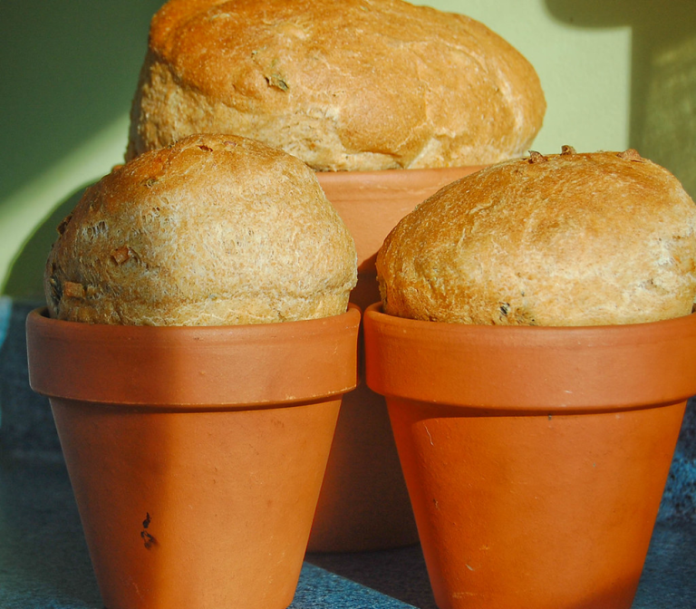 Cheddar Cheese & Herb Bread – Canadian Cookbooks